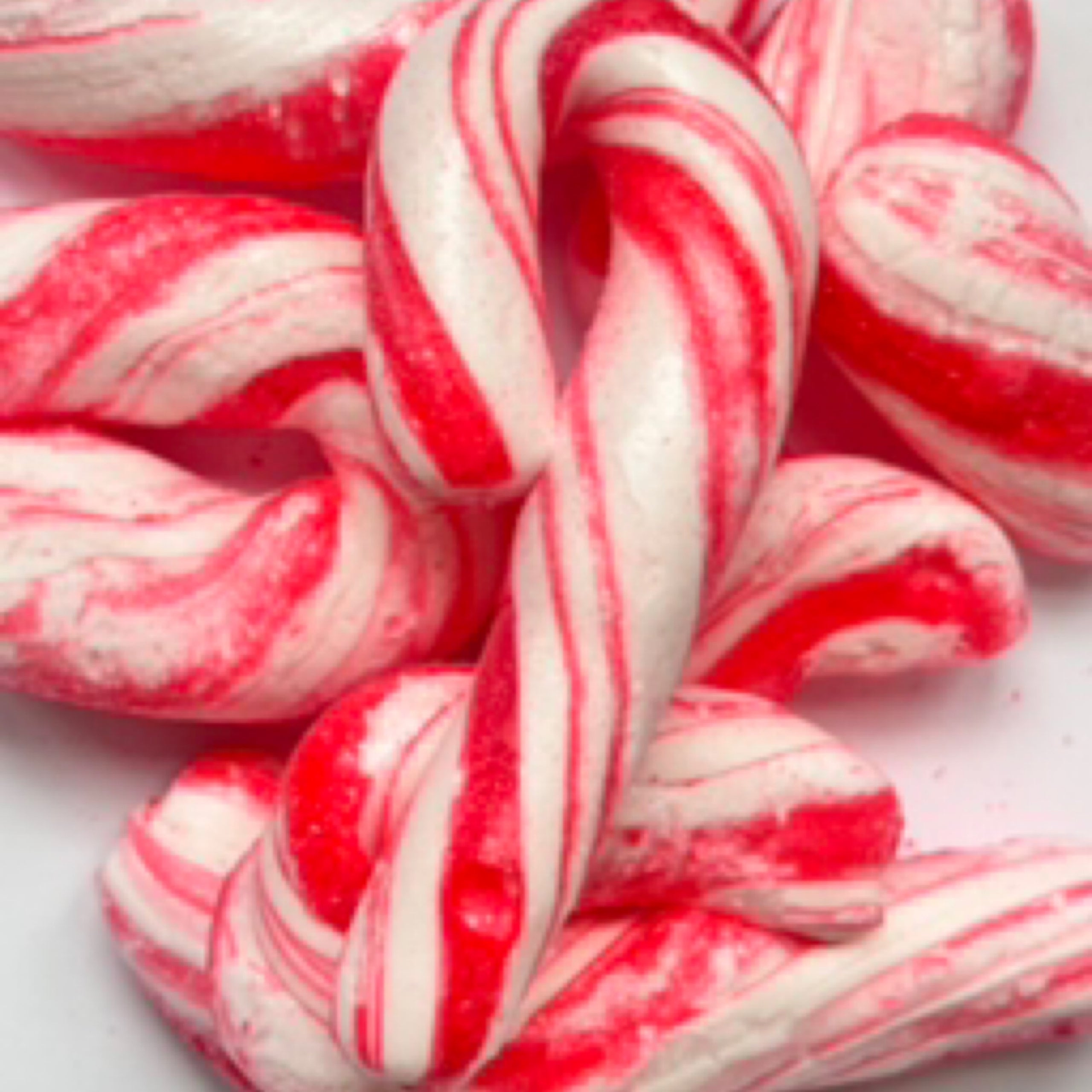 Mini Candy Canes | Sugar Snap Treats